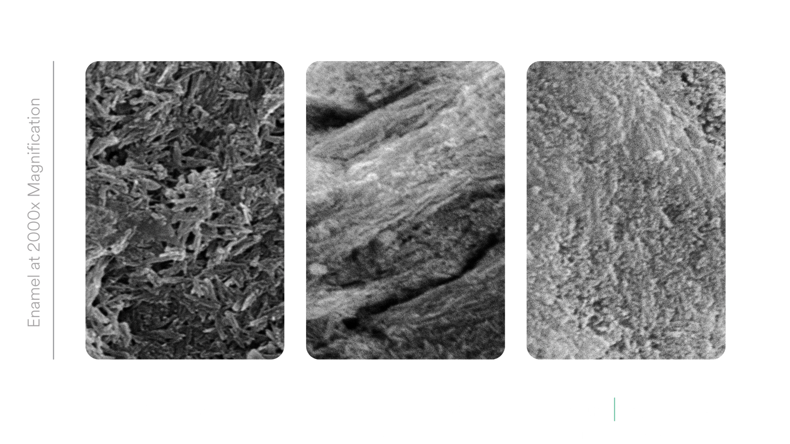 Nura Teethcare – Built by Science, Proven to Repair